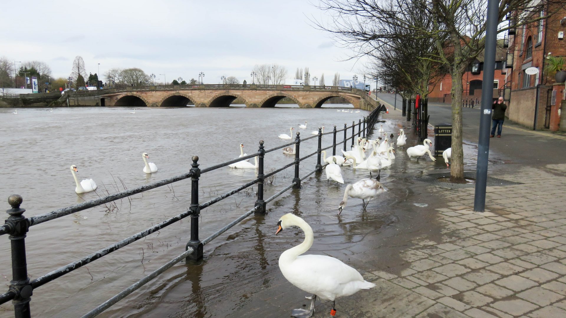 Level Access – Waterway Routes